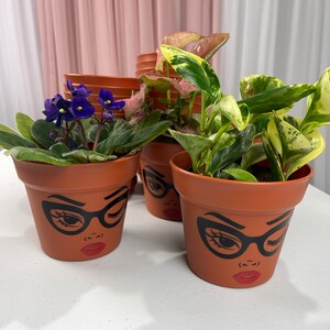Vinyl Decal: Cartoon Flower Pot / Clay Pot Face many Designs / Fishbowl ...