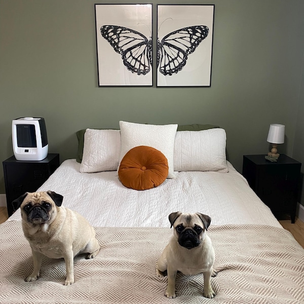 Butterfly Printable Wall Art Set of 2, Butterfly Printable Wall Art ...