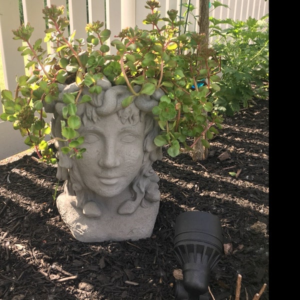 MEDUSA HEAD PLANTER (4 Color Option): Durable Stone Flower Pot Bust ...
