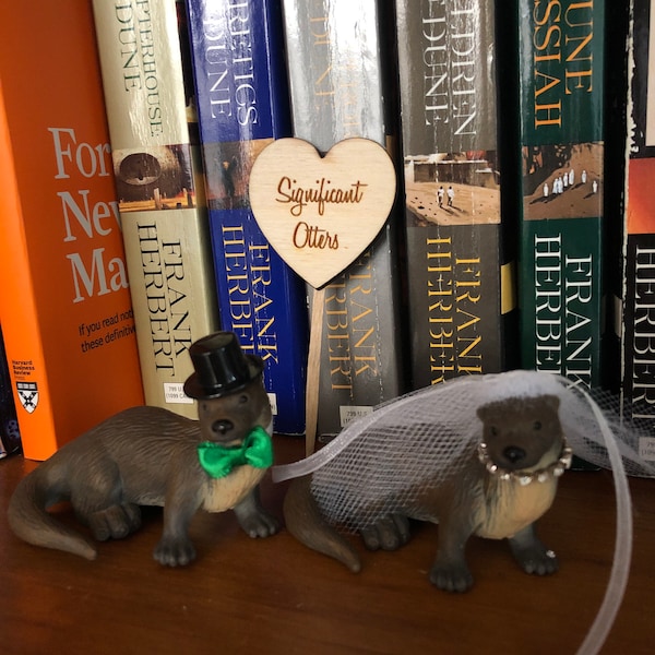 Otter-wedding-bride-groom-animal-unique-funny-wildlife-significant ...
