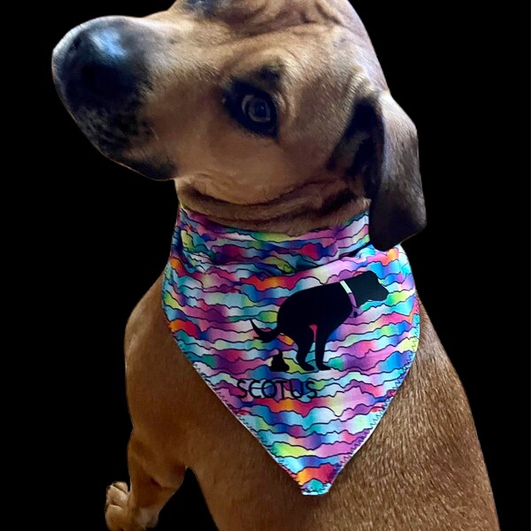 Funny SVG, Dog Pooping SVG, Instant Download Cut File Crap Svg, Cut ...