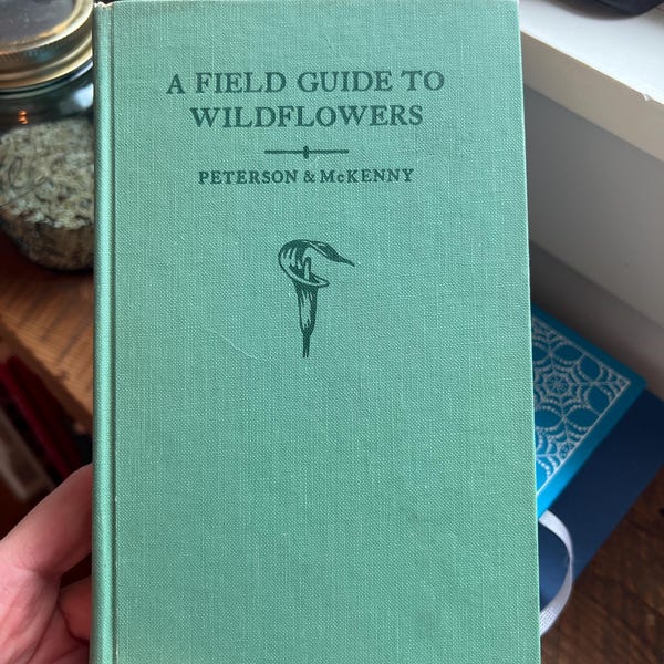 The Story of Peter Rabbit, Board Book, Beatrix Potter, Illustrated by ...