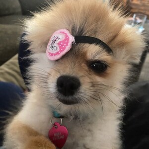 Custom Eye Patch for Dogs or Cats 100 % Cotton/ No Felt | Etsy