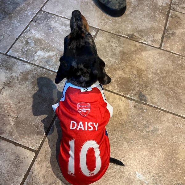 Liverpool FC -inspired Personalised Pet Tank Top With Original FC Logo ...