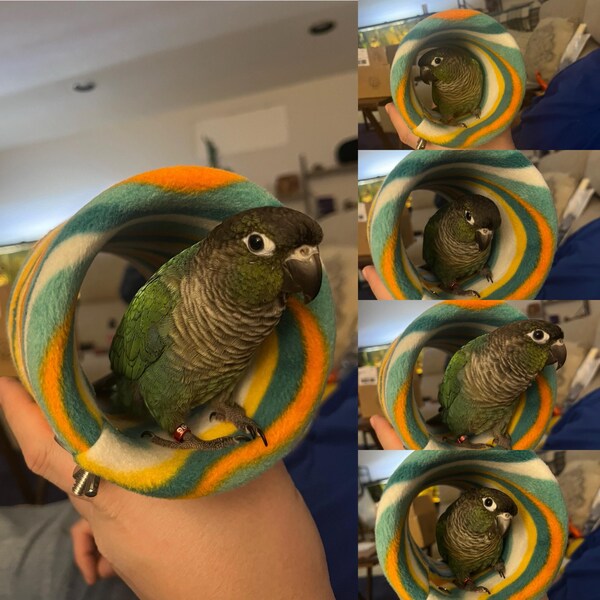 Custom Cozy Bird Tent Comfy Parrot Hut Pet Bird Bed Accessory Handmade ...