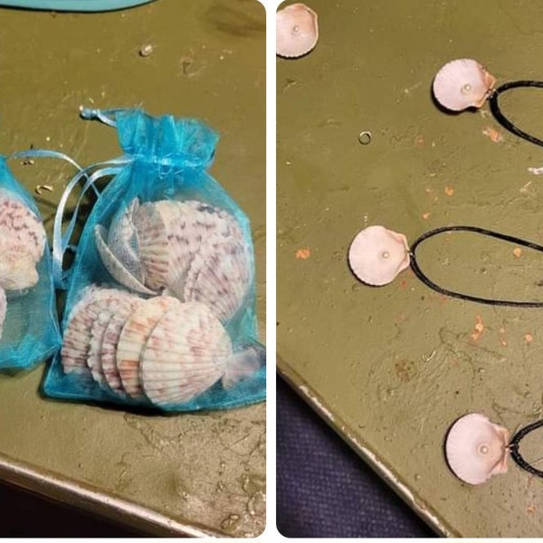 Hand Painted Scallop Seashell Christmas Ornaments, FREE SHIPPING ...