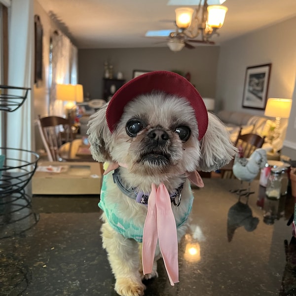 Dog Bonne, Cat Bonnet, Dog Hat/ Small Medium and Large Dogs in Outdoor ...