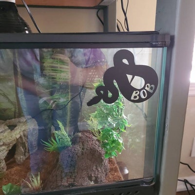 Customizable Name Ball Python Snake Vinyl Decal READ DESCRIPTION - Etsy