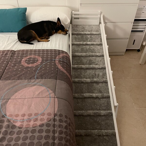 Pet Ramp With Foldable Rails | 4 Height Levels | Adjustable | Steps - Etsy