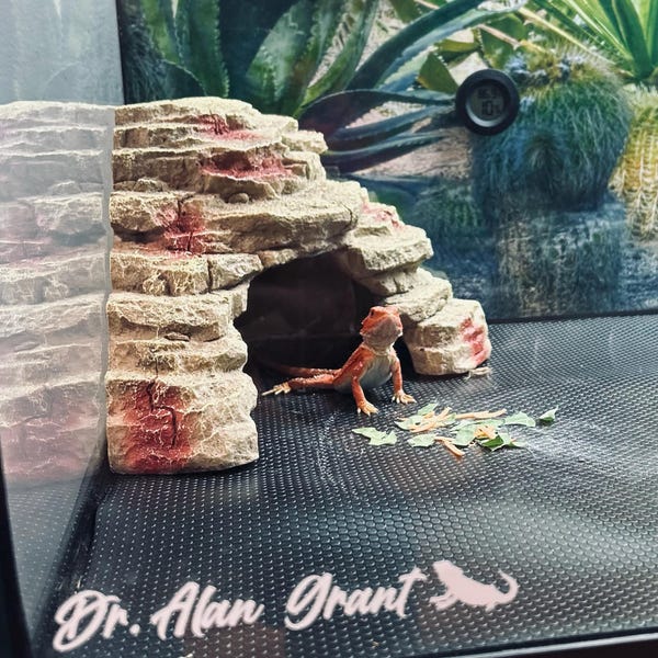 Bearded Dragon Candy Corn Costume Sweater, Halloween Lizard Sweater ...