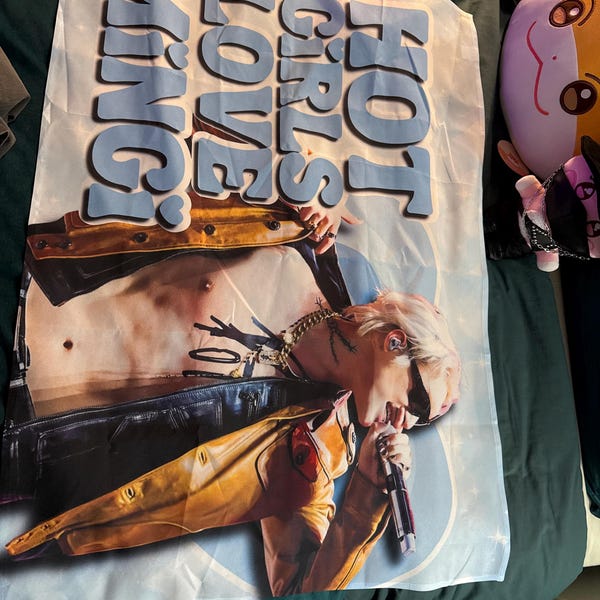 SKZ Hyunjin Hot Girls Concert Banner, Stray Kids Members Kpop Flag, Skz ...