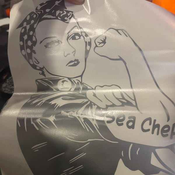 Money Pit Vinyl Decal Cars, Windows, Walls, Etc. - Etsy