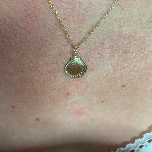 Petite Shell Charm Necklace • Simple Gold Necklace • Shell Charm • Gold ...