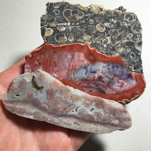 Polished Moroccan Berber Agate Slab Berber Druze Vug Moroccan Agate ...