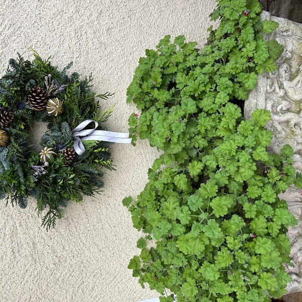 Fresh Christmas Door Wreath Modern Luxury - Etsy