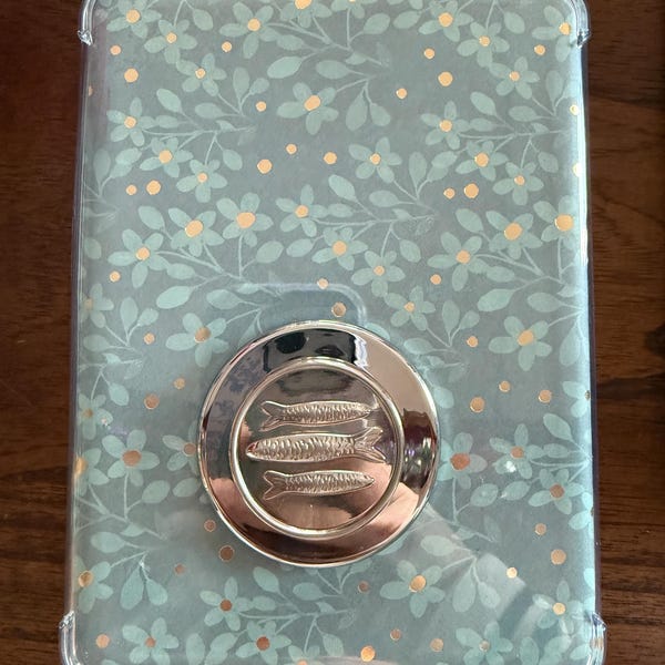 DIY Insert Template Kindle Paperwhite 11th Gen or Basic Clear Cases ...