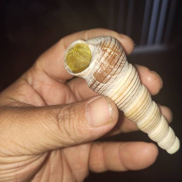 The Rockfish by Shellpipe free Pipes With Every Order Shell Pipe ...