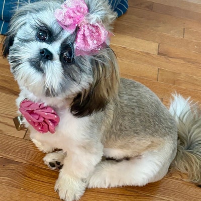 Dog Hair Bow for Dogs, Dog Hair Clip, Fall Hair Dog Bows, Hair Clip for ...