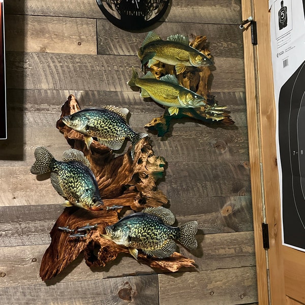 Crappie Replica Driftwood Scene Flat 2D Metal Rustic Decor, Crappie ...