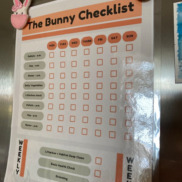 Rabbit Care Printable With Planner, New Bunny Owner Care Tips, Treat ...