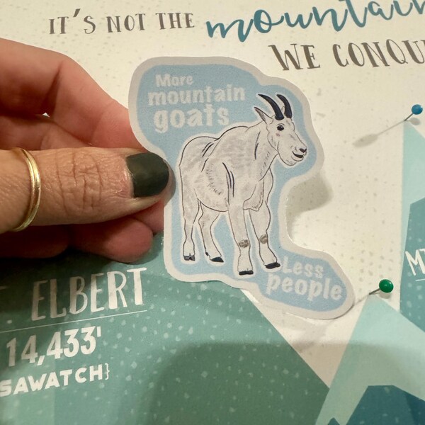 Montana State Flower Vinyl Sticker, the Vibrant Bitterroot - Etsy