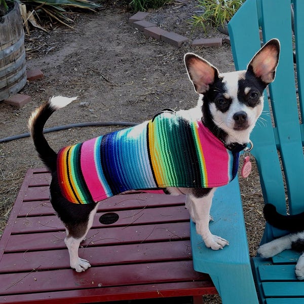 Dog Clothes - Pink Handmade Dog Apparel From Authentic Mexican Blanket ...