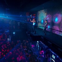 Custom Made Lamia Raised by Wolves Costume Dark Gray Sage Green Spandex ...