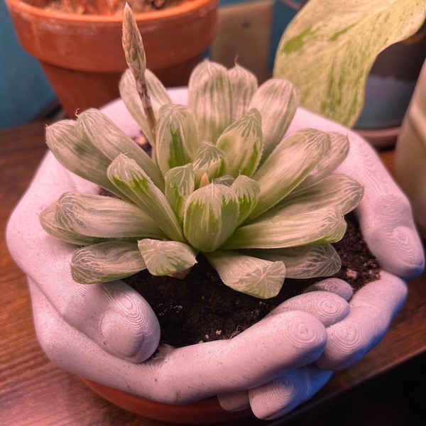 Hands Planter - Hand Bowl - Storage Tray - Organizer - Hands Plant Pot ...