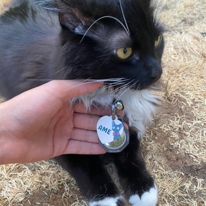 Lucky Charms Personalized Pet Tag Cute Cereal Pet ID Tag - Etsy