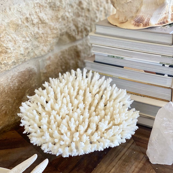 Beach Decor Table Coral - Coral - Seashells- Beach Decor - Coastal Home ...