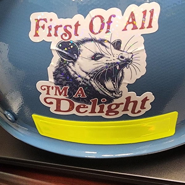 First of All I’m a Delight Possum Silly Holographic Sticker Mental ...