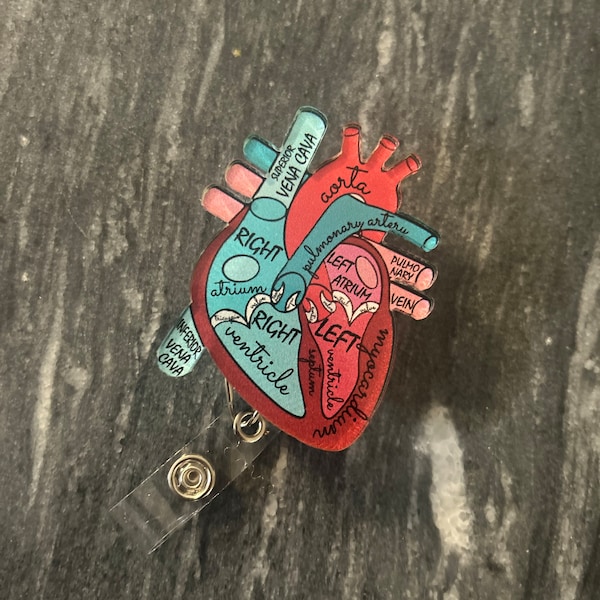 Anatomical Heart Badge Reel | Organ Badge |cardiologist Cardiology ...