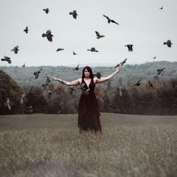 Raven Crow Overlays, Realistic Raven, Photoshop Overlays, Ghotic ...