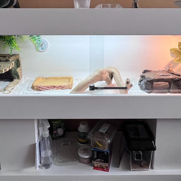 4ft White Modern Reptile Vivarium - Includes LED Light - Etsy UK