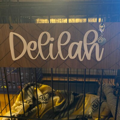 The Cat is Inside or Outside Reminder Sign Cat In/out Wooden Door ...