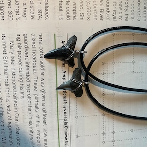 Shark Tooth Identification Guide, Instant Download, Fossil ID Card, Digital Download - Etsy