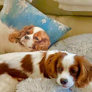 Whimsy Puff Hedgehog Pillow, Cottagecore Charm, Sage Floral Hedgehog ...