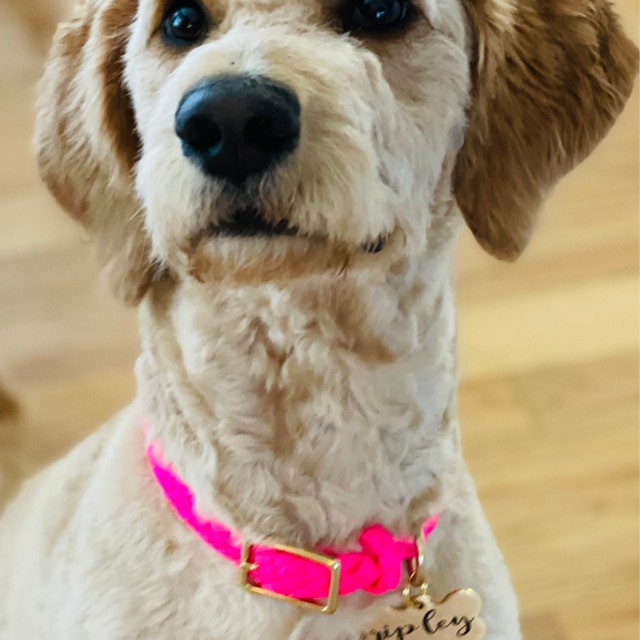 Salty's Own by SaltysOwn on Etsy