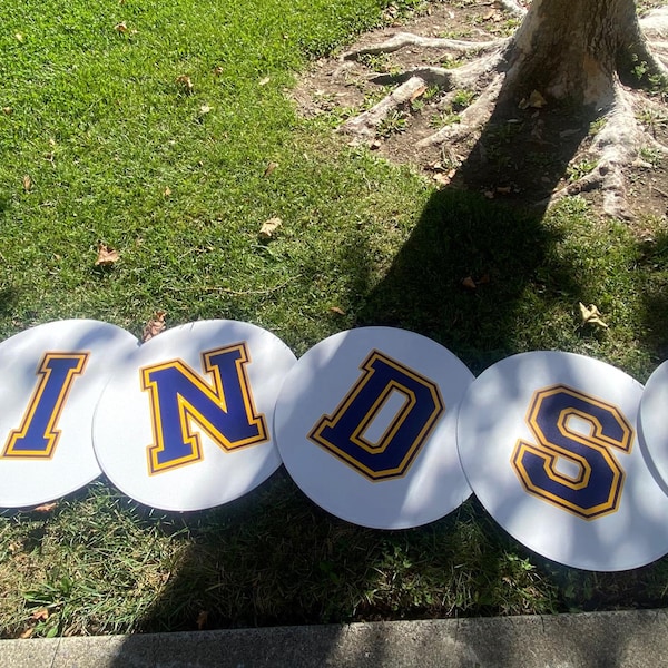 Cheerleading Spirit Stick, Spirit Stick Cheer, Team Gifts Cheer, Pep ...