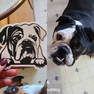 Trailer Park Boys Bubbles Sticker Officially Licensed | Etsy