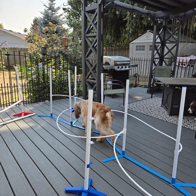 Dog Kennel Fan Hanging Utility Straps great for Dog Shows/ Agility ...