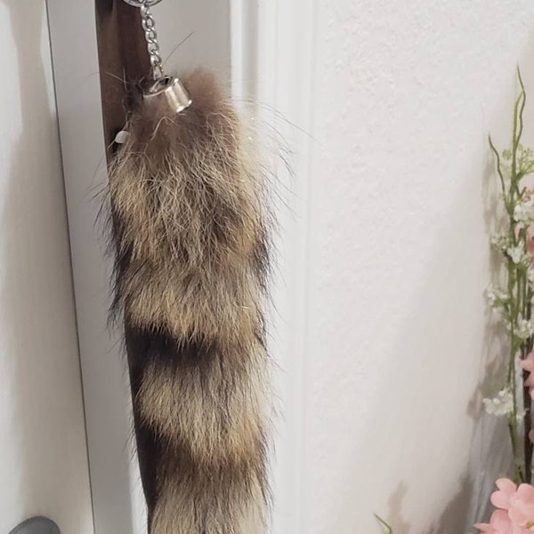 Raccoon Tails | Raccoon Tail Keychain | Taxidermy Keychain | Raccoon ...