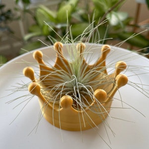 Fire Hydrant Succulent Planter Home Decor Modern Planter - Etsy