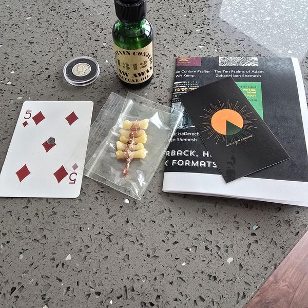 LARGE Fixed Coyote Bone Stealth Talisman - Etsy