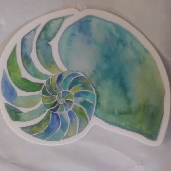 Nautilus Sticker Chambered Nautilus Decal, Ocean Sticker - Laptop ...