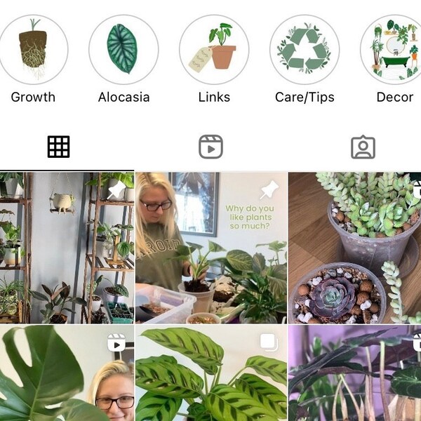 Monstera Varieties - Plant Identification Chart - Digital Download - Etsy