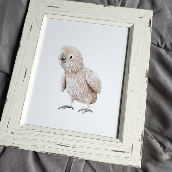 Australian Animal Print Set / Kangaroo Joey, Echidna Puggle, Wombat ...