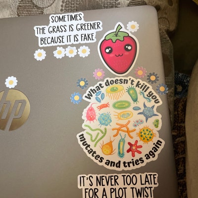 Funny Math Statistics Sticker, Math Laptop Stickers, Math Water Bottle ...