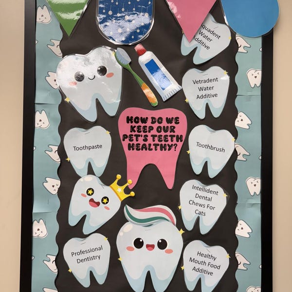 Christian Easter Bulletin Board Kit | Biblical Affirmations | Spring ...