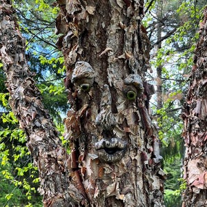 Forrest Stump Concrete Tree Face, Birthday Gifts, Gardeners Gift, Glass ...